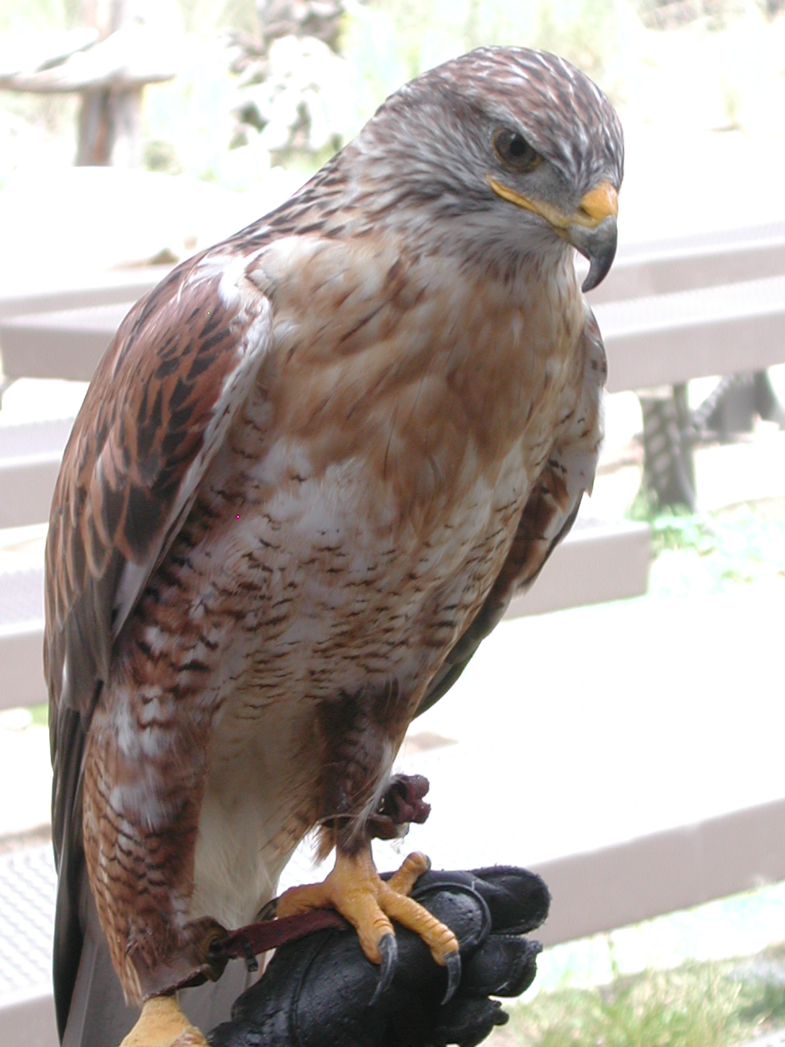 Central Oregon & Washington '08